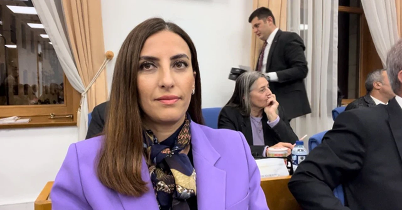 DEVA Partili Rızvanoğlu: Türkiye OECD ülkeleri arasında kömürden enerji ...