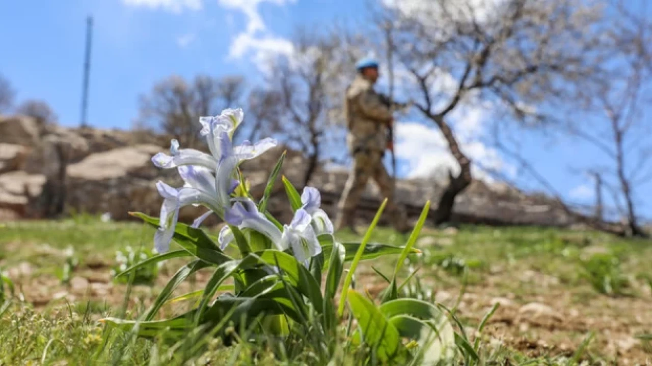 'Makam Çiçeği' ve 'Ters Lale' için özel koruma timi - Muhalif - Son ...